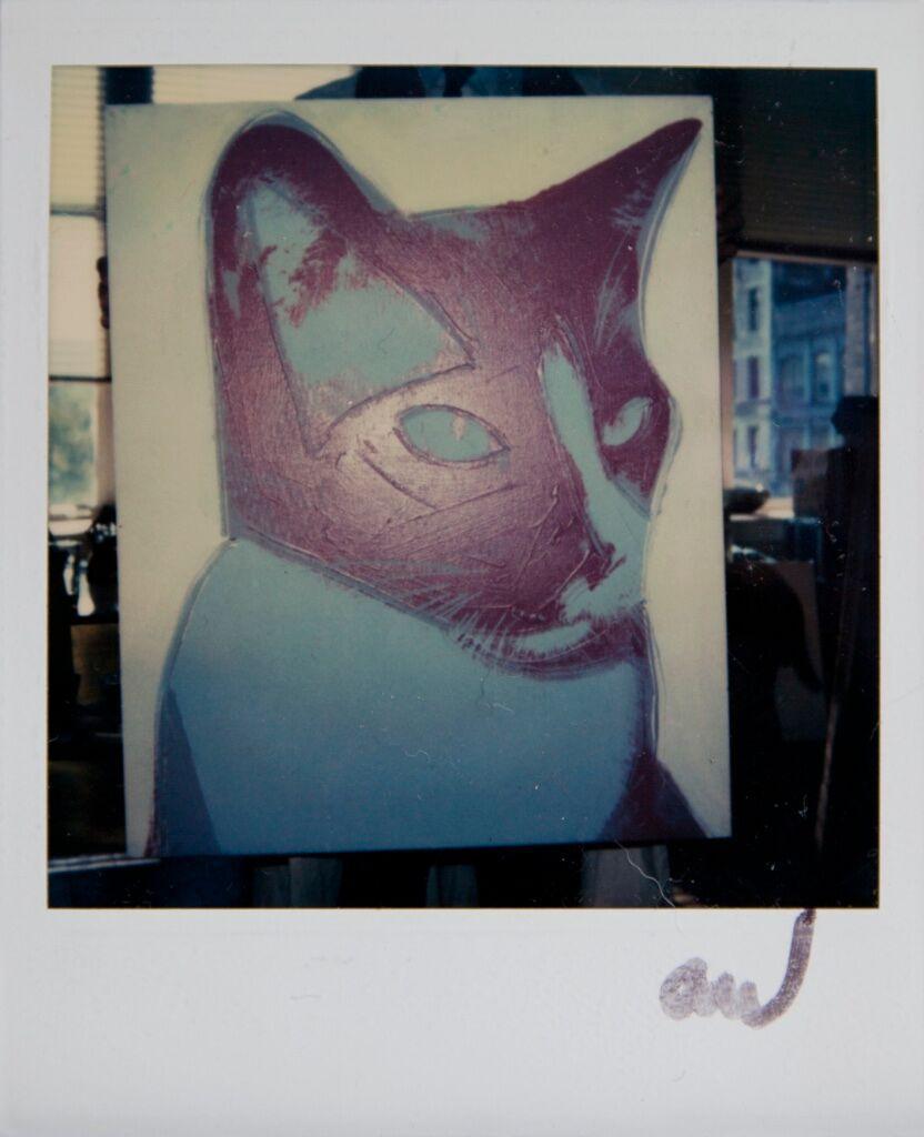 Andy Warhol - Andy Warhol, Cat Painting Detail at the Factory, Polaroid ...