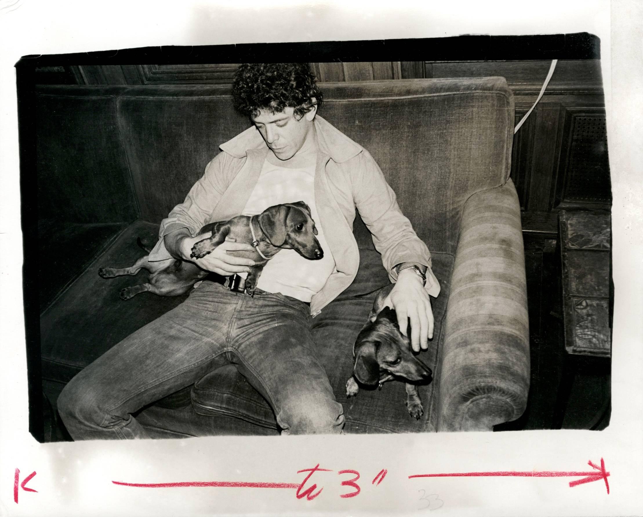Andy Warhol - Andy Warhol, Photograph of Lou Reed with Dachshunds ...