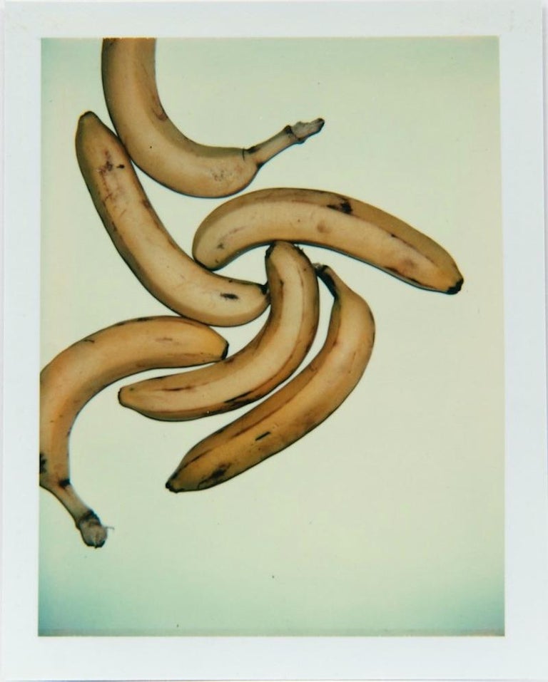 Andy Warhol - Bananas at 1stDibs