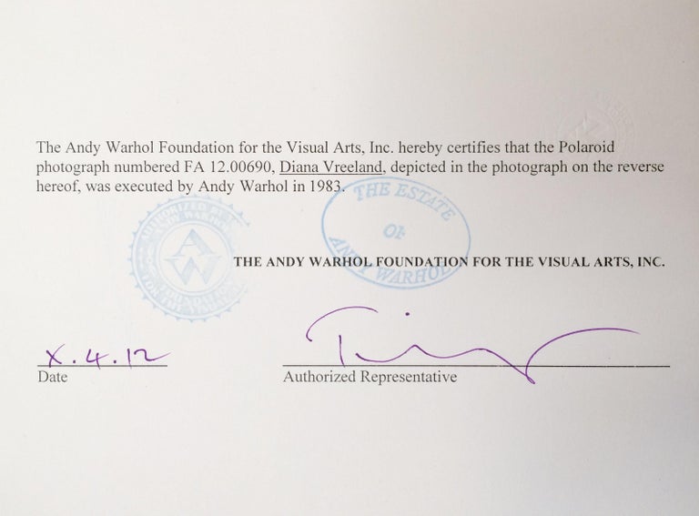 Andy Warhol - Andy Warhol, Polaroid Photograph of Diana Vreeland, 1983-4 For Sale at 1stDibs