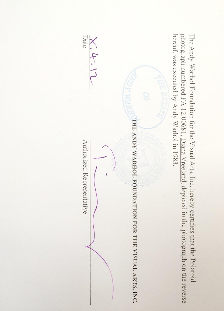 Andy Warhol - Andy Warhol, Polaroid Photograph of Diana Vreeland, 1983 For Sale at 1stDibs ...