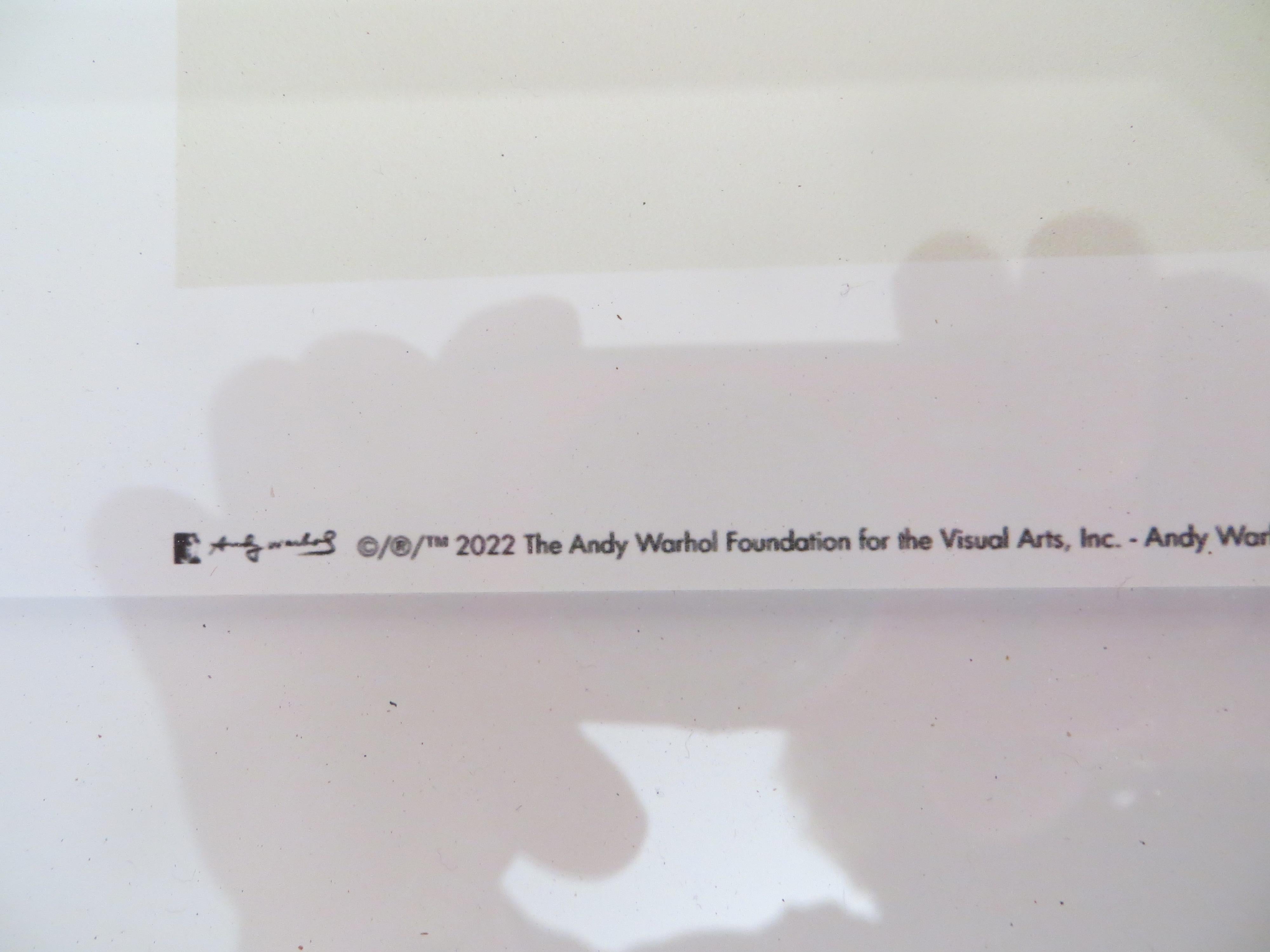 Andy Warhol's fondation Polaroids Muhammed Ali Screen Print For Sale at ...