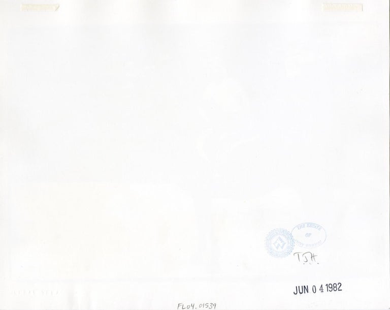 Andy Warhol - C. Z. Guest Riding Horse For Sale at 1stDibs