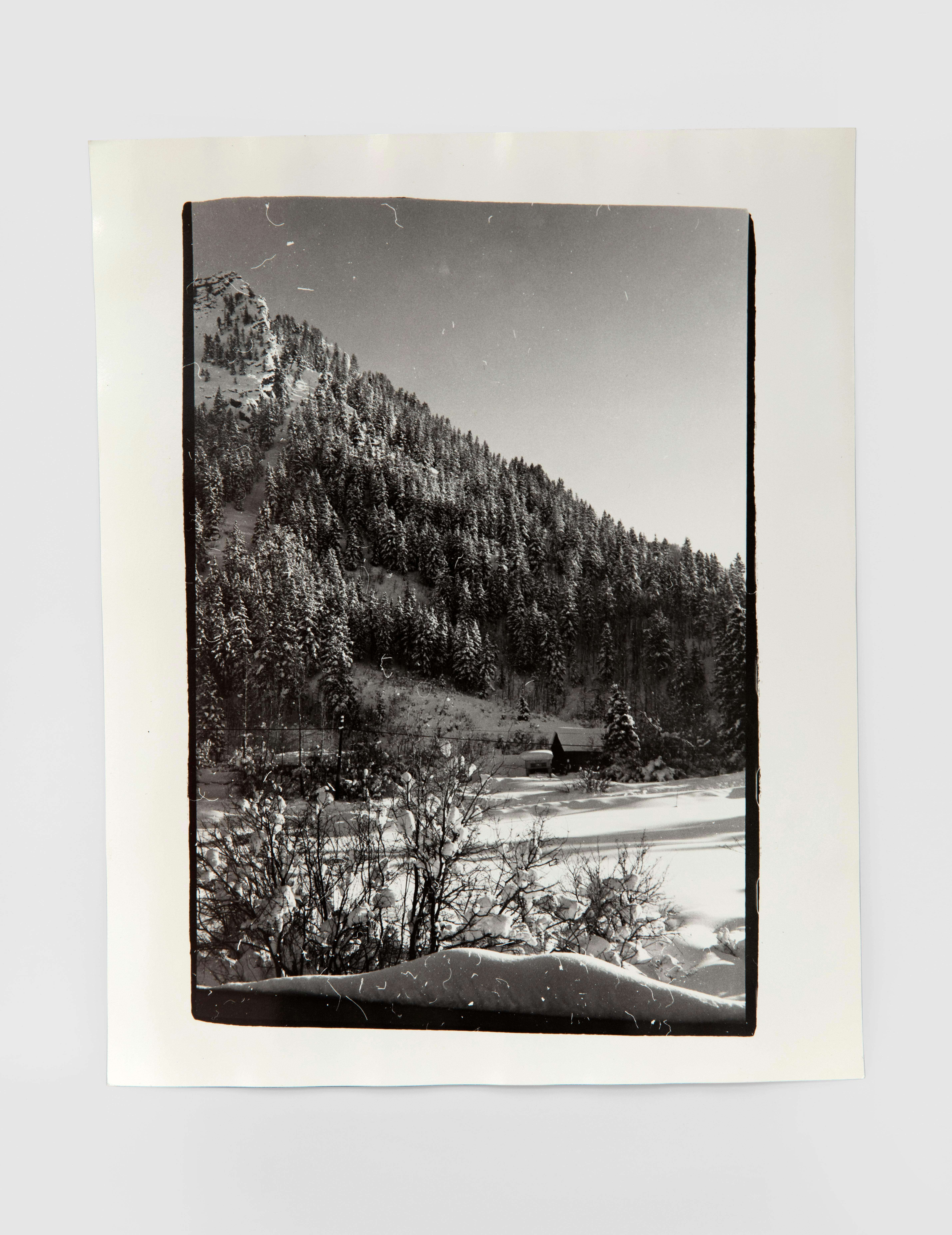 Andy Warhol - Paisaje de Aspen Colorado en venta en 1stDibs