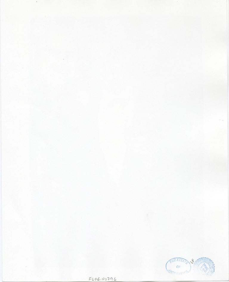 Andy Warhol - Divine and Stephen Aronson For Sale at 1stDibs