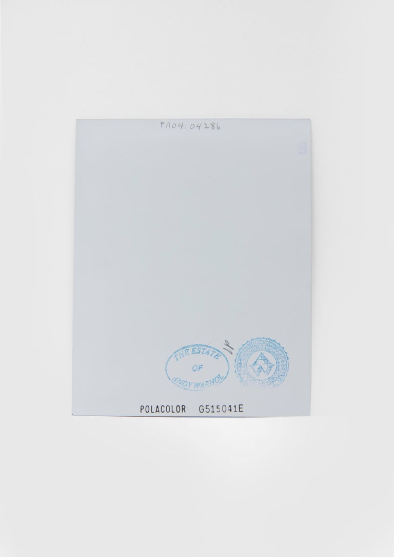 Andy Warhol - Pat Hearn For Sale at 1stDibs