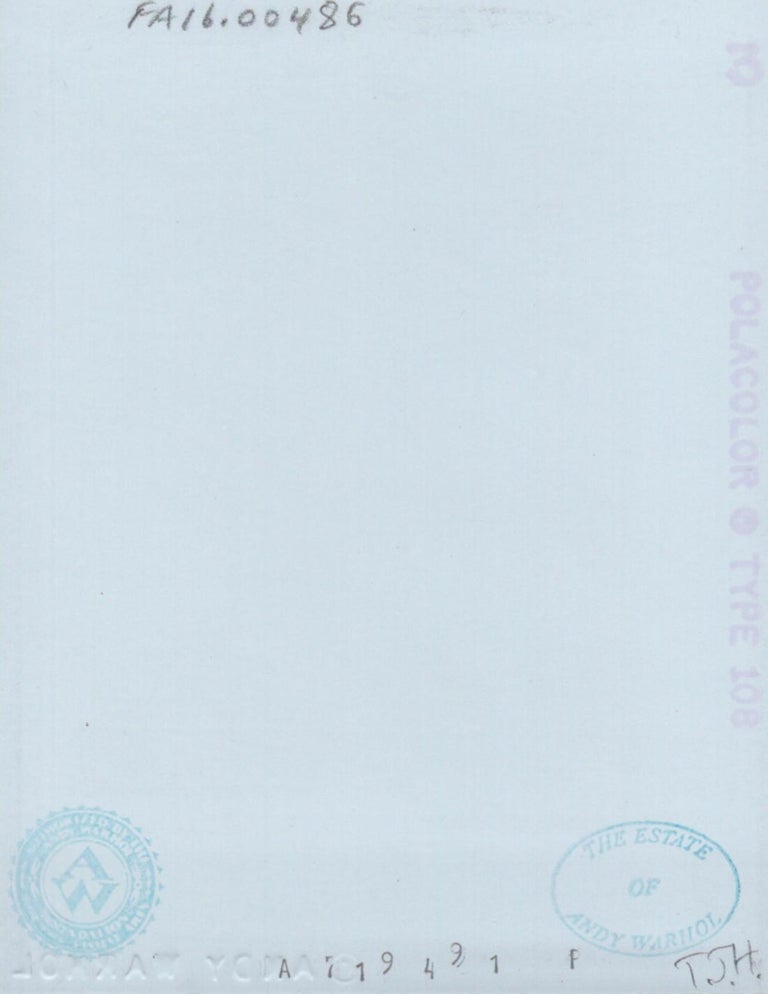 Andy Warhol - Torso For Sale at 1stDibs