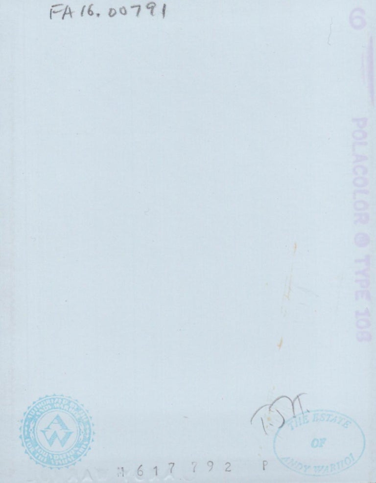 Andy Warhol - Torso For Sale at 1stDibs