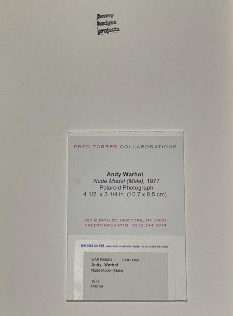 Andy Warhol - Torso For Sale at 1stDibs