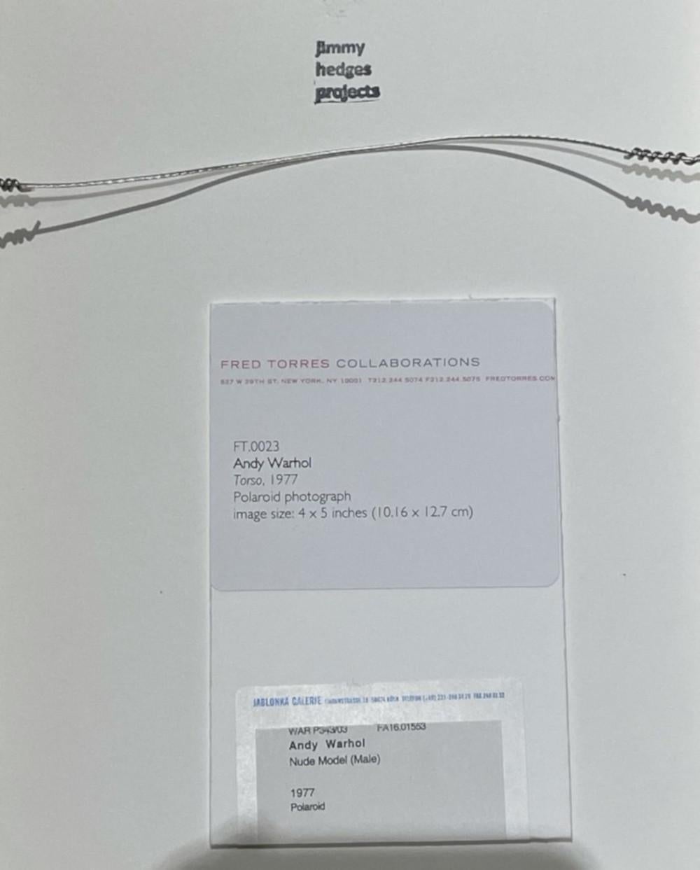 Andy Warhol - Torso at 1stDibs