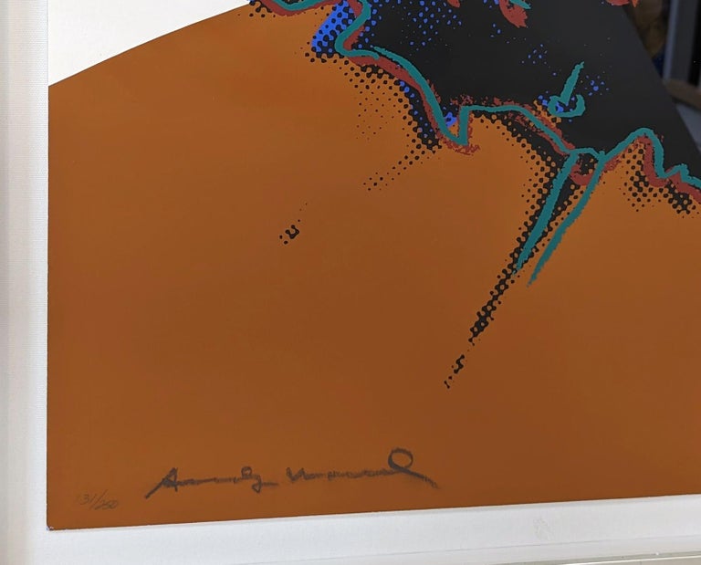 Andy Warhol - GERONIMO FS II.384 For Sale at 1stDibs