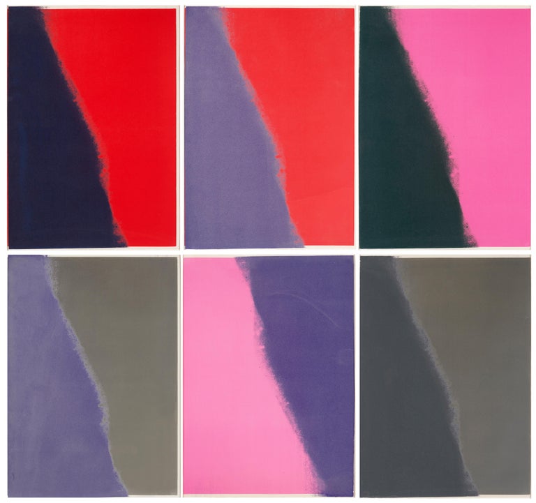 Andy Warhol - Shadows II Complete Portfolio For Sale at 1stDibs