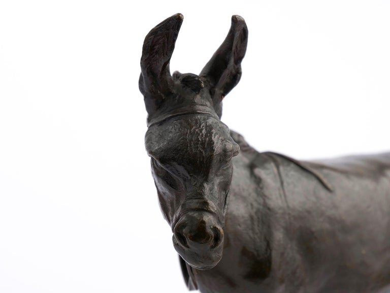 “Ane d’Afrique” French Antique Bronze Sculpture by Auguste Nicholas ...