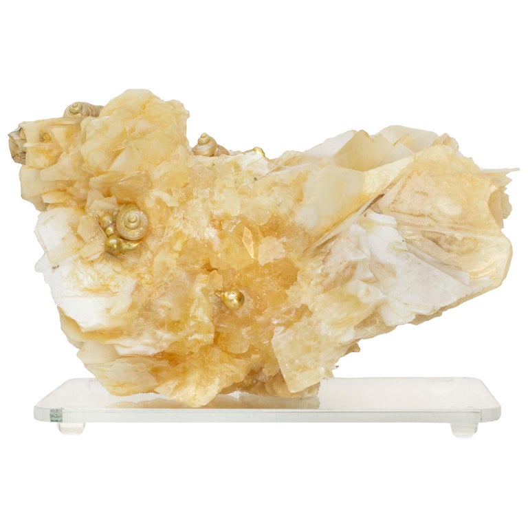 Angel Wing Calcite with Pearlescent Shells and Baroque Pearls on Lucite ...