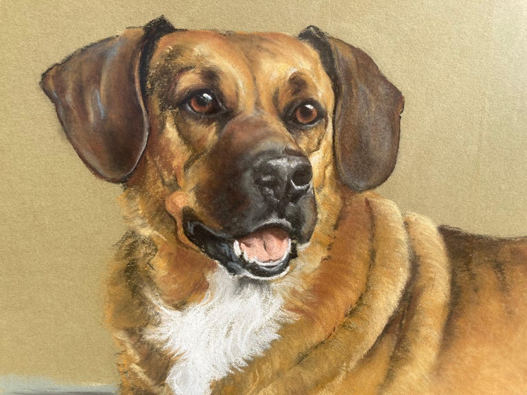 Angie Draper - Best Friend (by famous "Black Stallion" illustrator) at ...