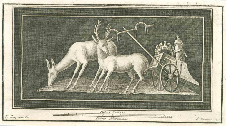 Aniello Cataneo - Animals Pompeian Fresco - Etching by Aniello Cataneo ...