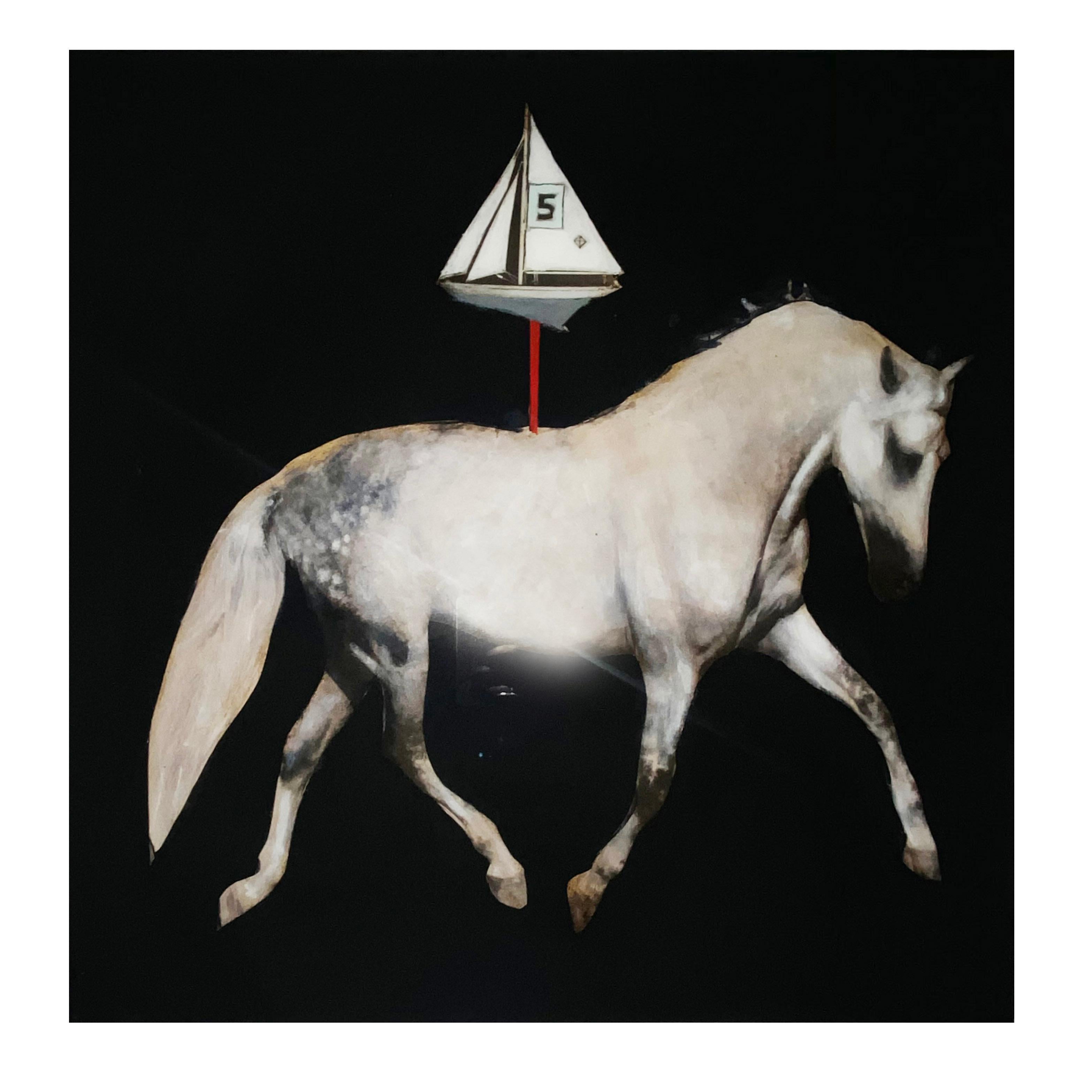 Anke Schofield - Dog With Tiny House at 1stDibs