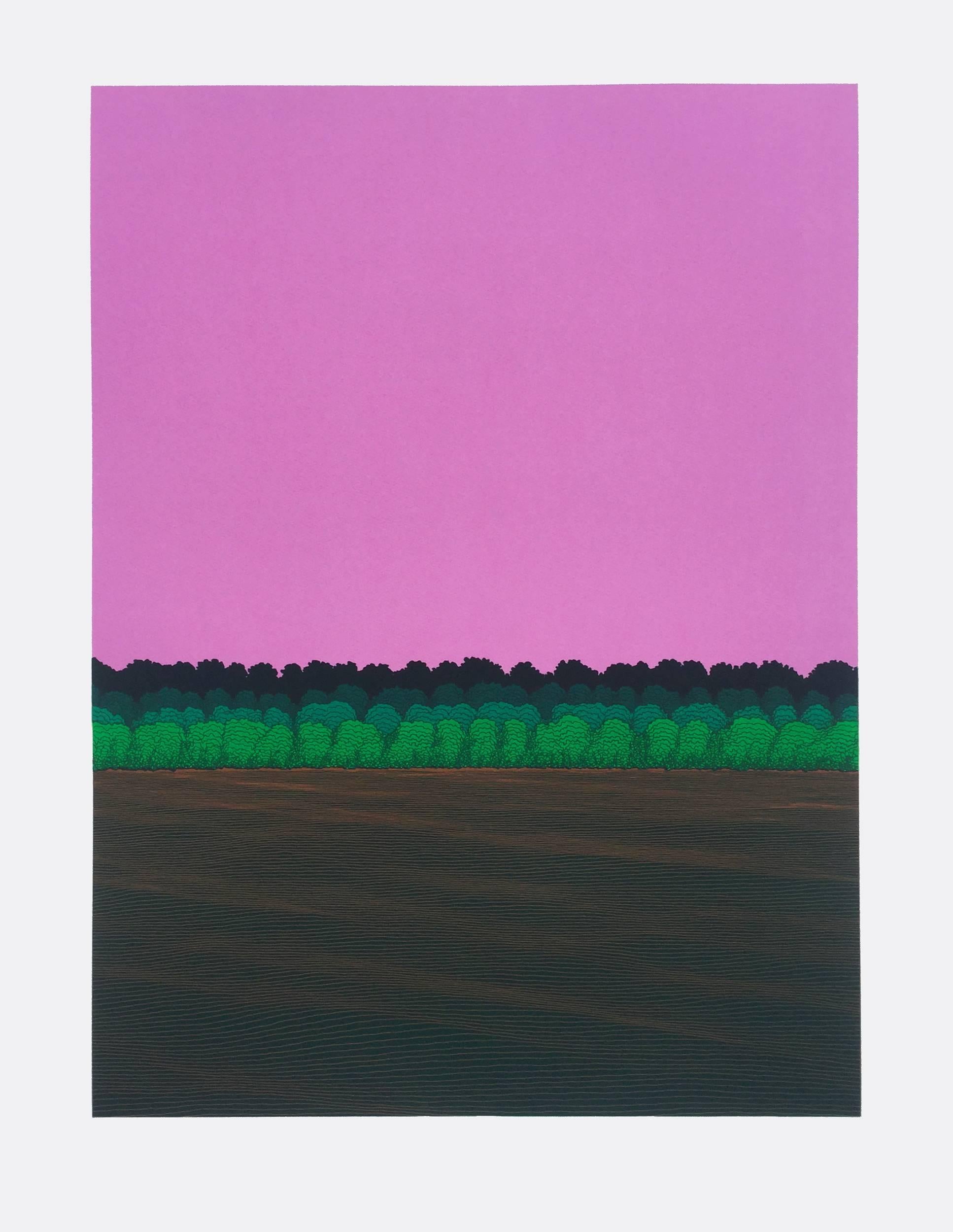 Ann Aspinwall - Ann Aspinwall, Corona III, abstract geometric screen ...