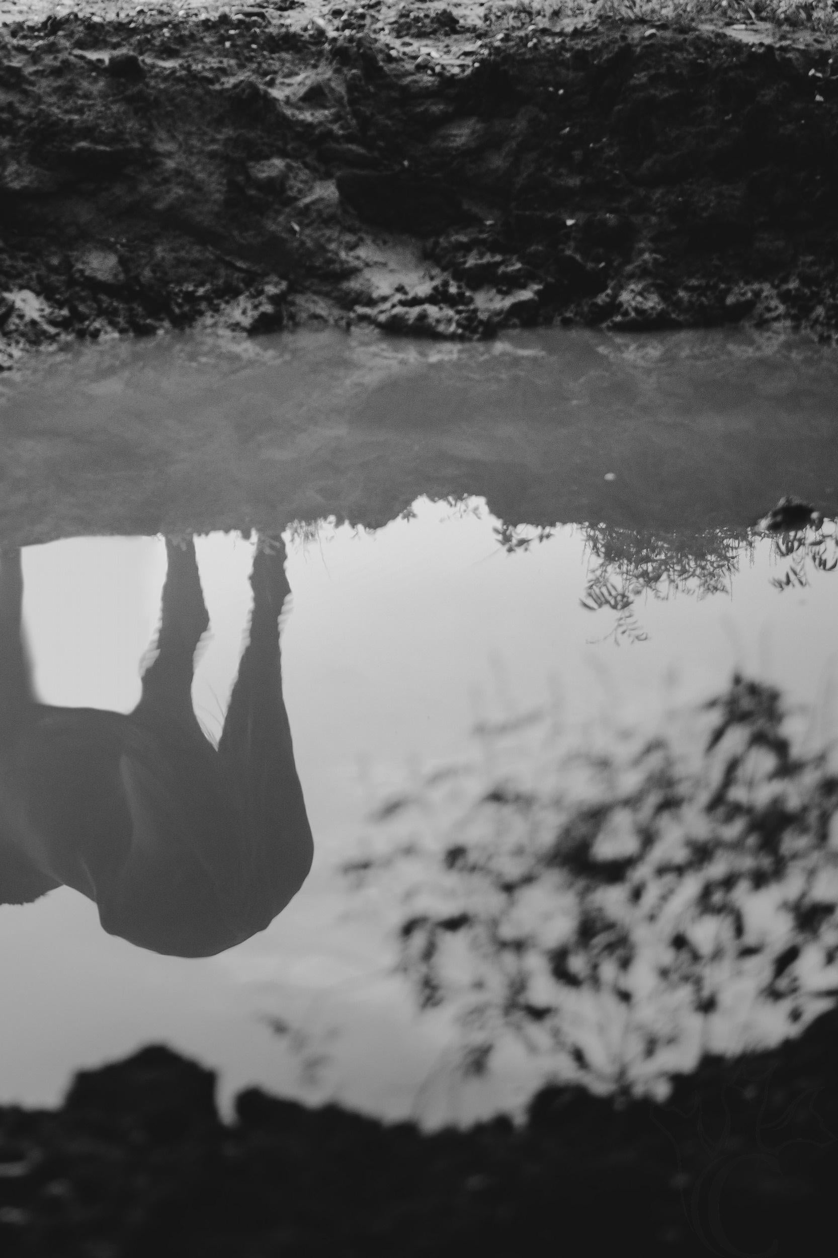 Anna Archinger - Shadow Mirror Work (Equestrian Photography, Horse ...