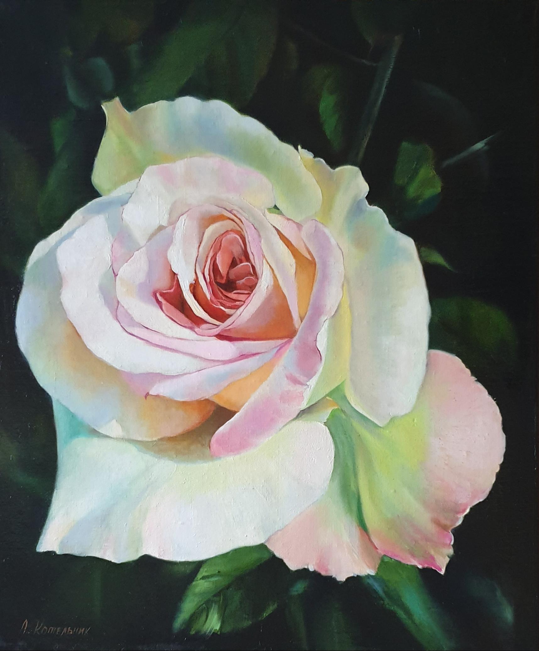 Anna Bessonova - Original Oil Still Life Painting NIGHT ROSE For Sale ...