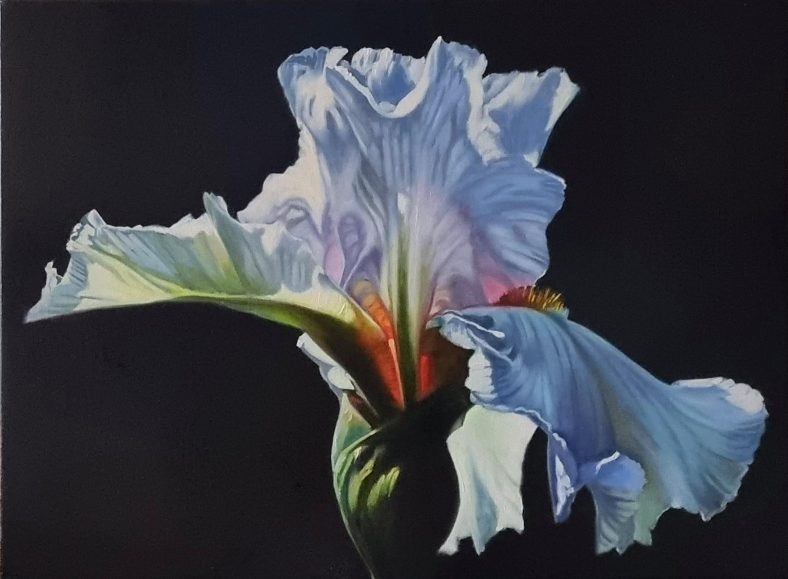 Anna Bessonova - Still Life Painting CREME BRULEE Realistic Rose at 1stDibs