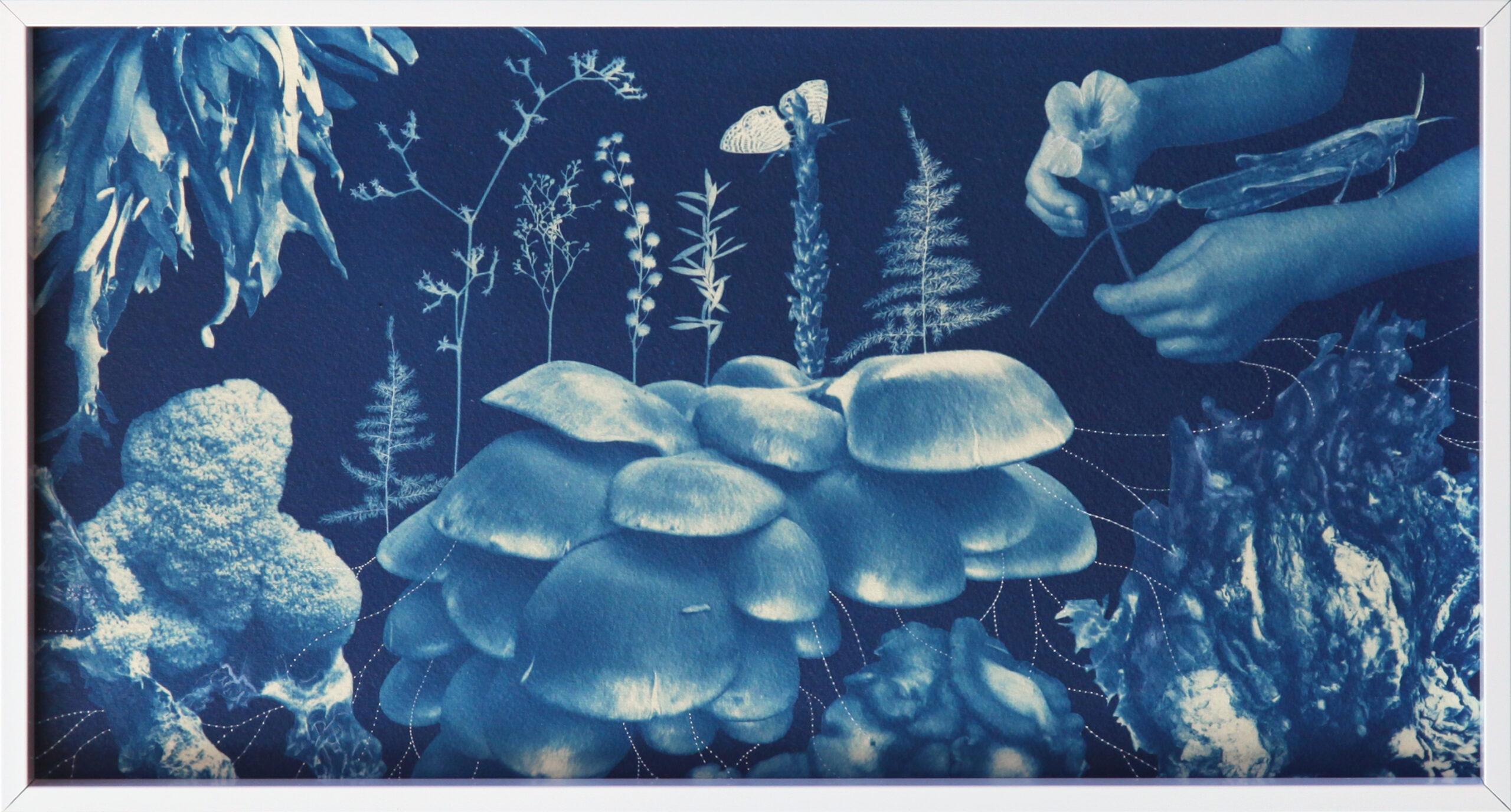 Annalise Neil - A Surreal Watercolor Cyanotype on Arches Aquarelle ...