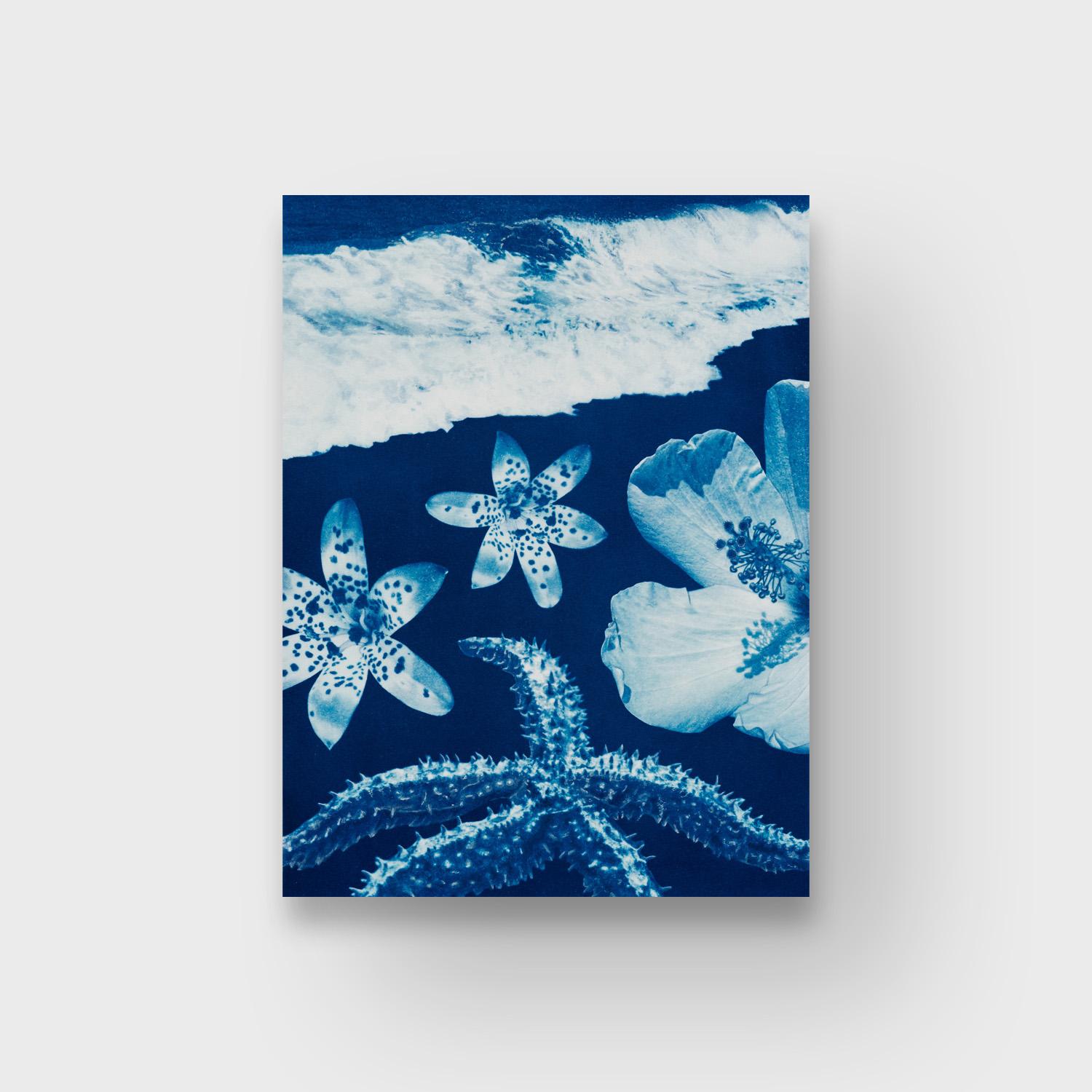 Annalise Neil - A Surreal Watercolor and Cyanotype, "Saltwater Gradient ...