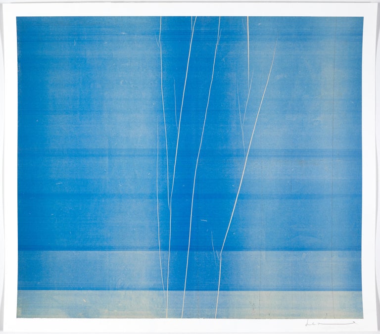 Anne Deleporte - Anne Deleporte, Lightning, encre sur sérigraphie ...