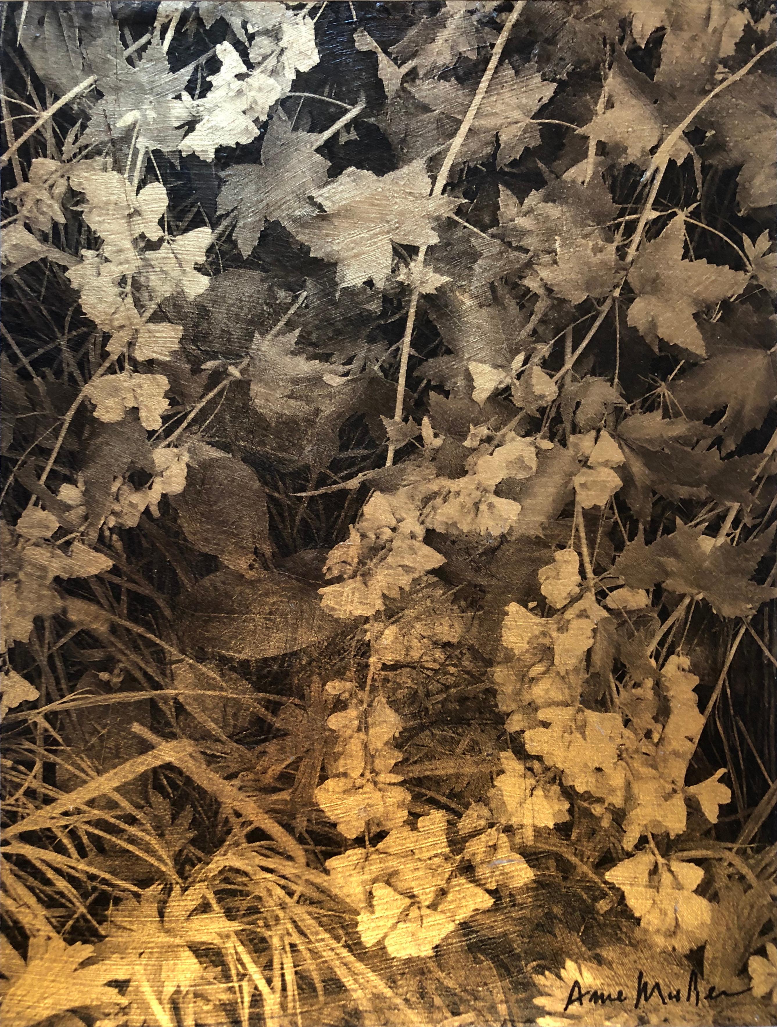 Kate Breakey - Trees, Myponga, South Australia For Sale at 1stDibs