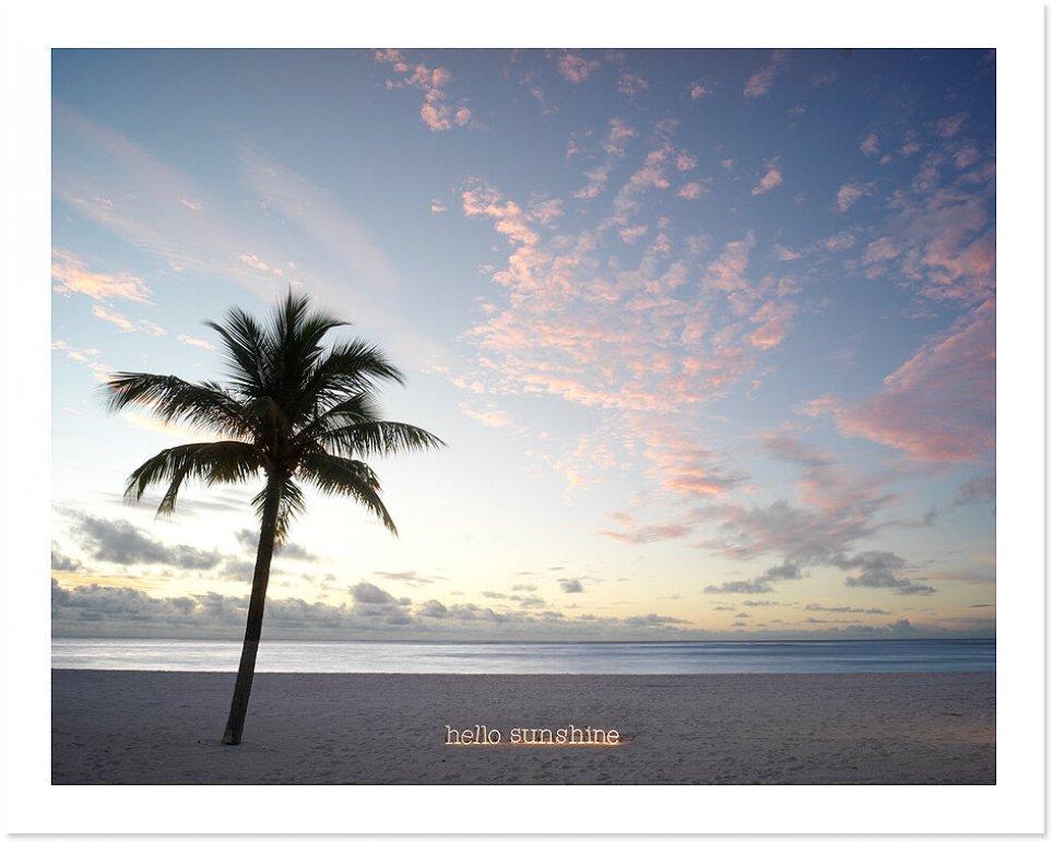 Craig Sheperd - Amber Lens For Sale at 1stDibs | craig sheperd, amber ...