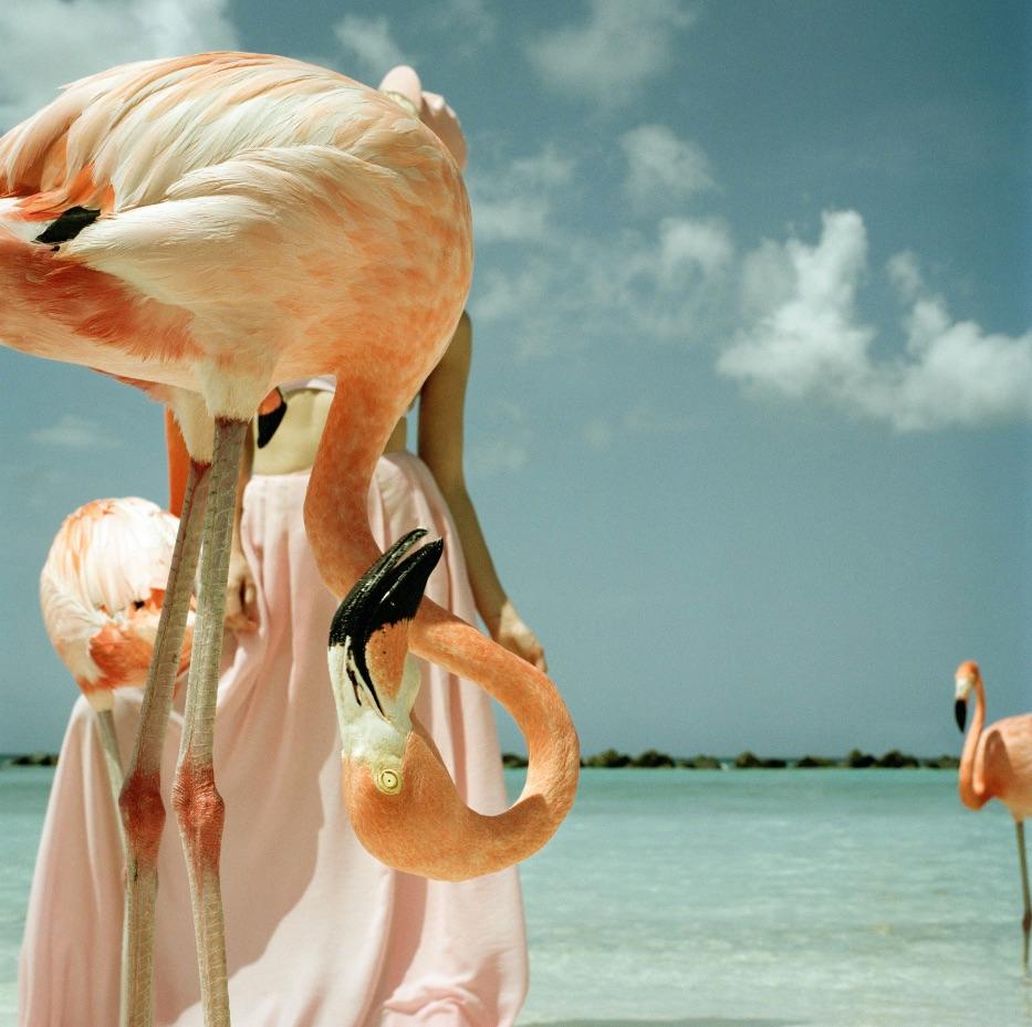 Diane Epstein - Turn the Page For Sale at 1stDibs