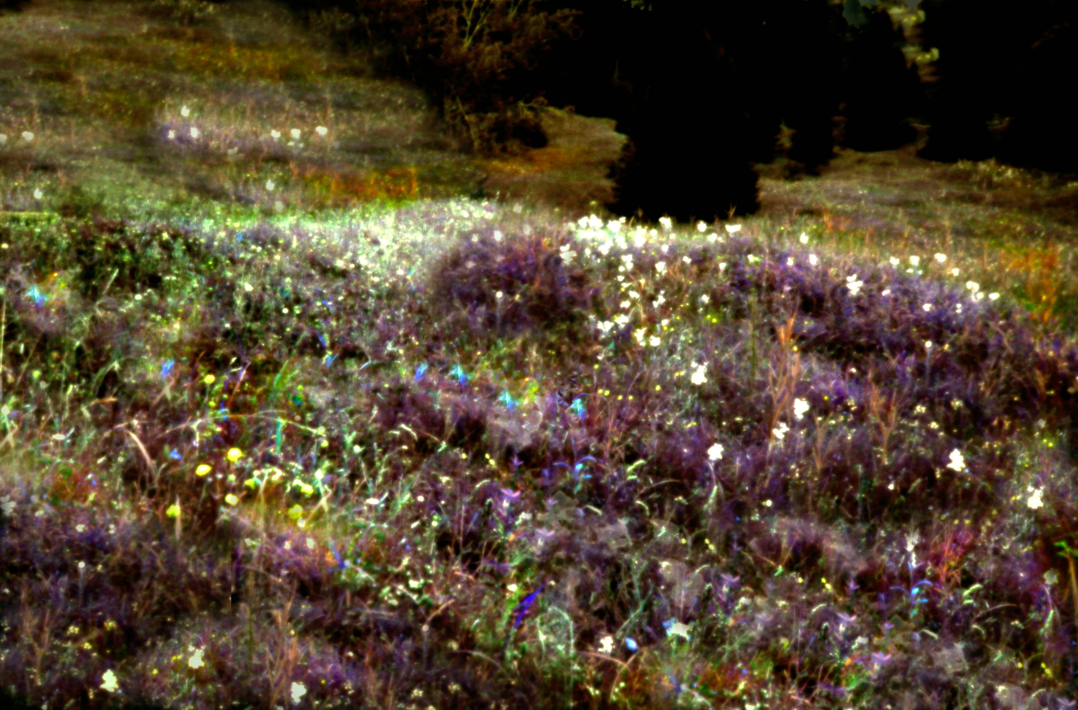 Annelies Strba - NYIMA 656-24 For Sale at 1stDibs