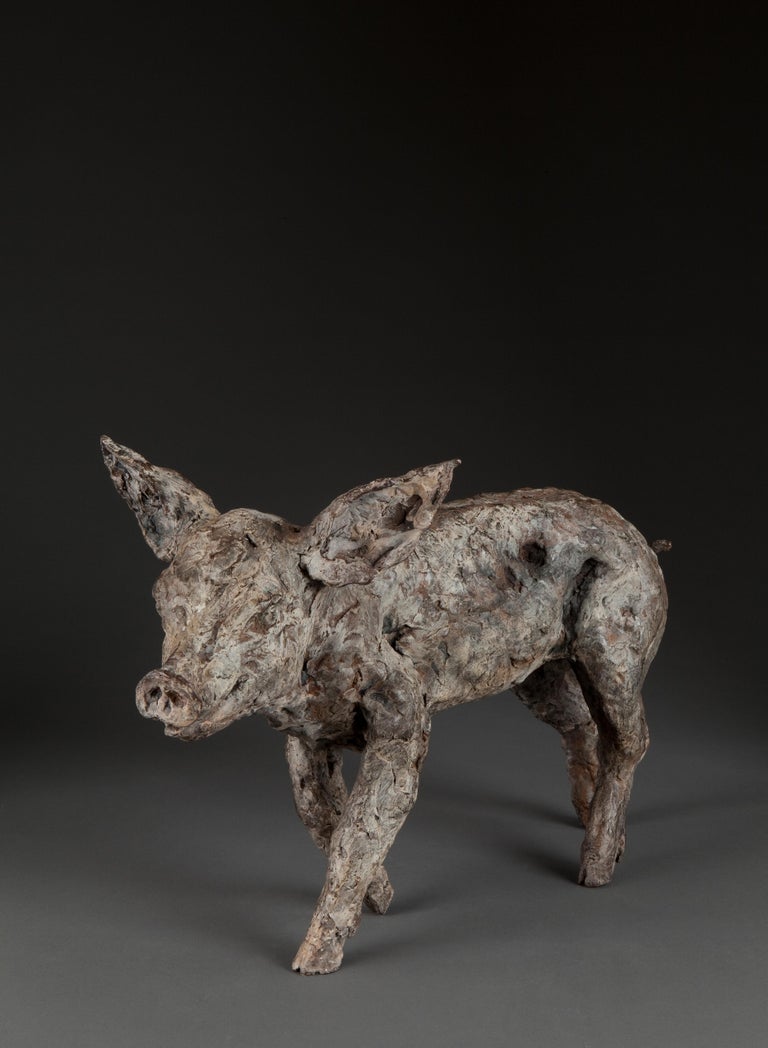 Ans Zondag - ''Big Pig'', Contemporary Bronze Sculpture Portrait of a Pig For Sale at 1stDibs ...