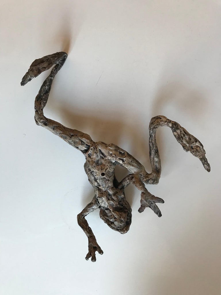 Ans Zondag - ''Crawling Frog'', Contemporary Bronze Sculpture Portrait ...