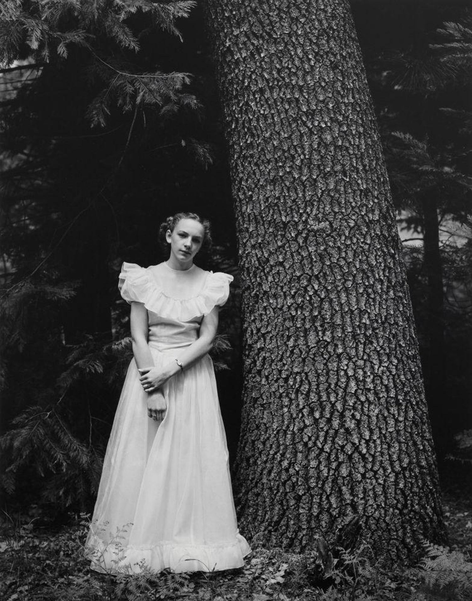 Ansel Adams Portrait Photography