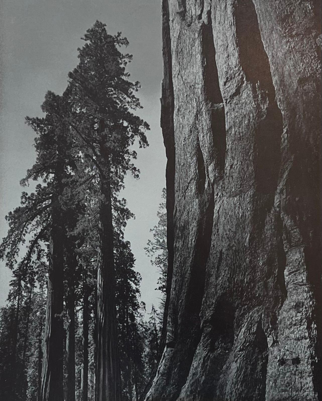 Ansel Adams Art - 29 For Sale at 1stDibs | amstel adams, ansel adam ...