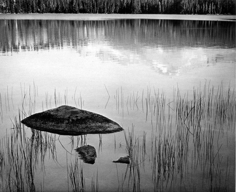 Ansel Adams - Rock and Grass, Moraine Lake, Sequoia National Park, CA ...