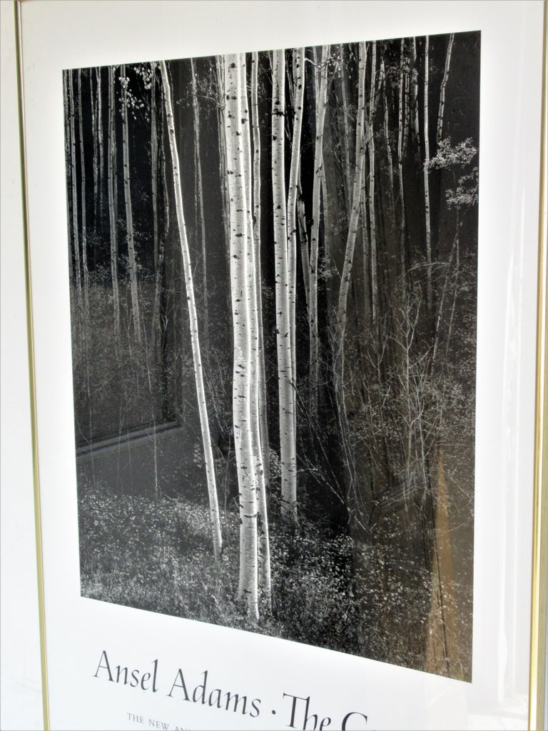 Ansel Adams, The Camera, New York Graphic Society, 1981 at 1stDibs