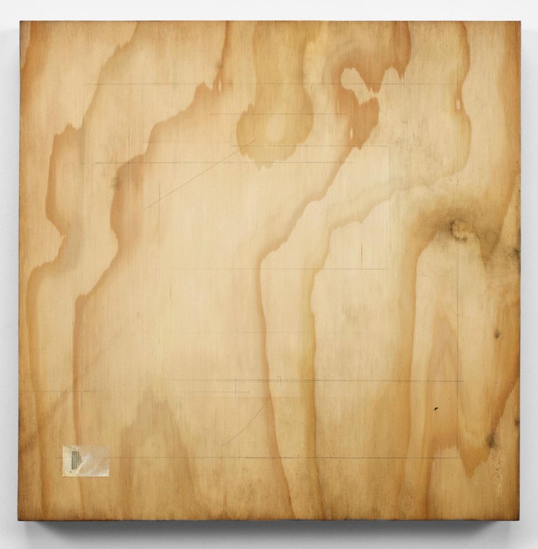 Anthony Adcock - Ply For Sale at 1stDibs