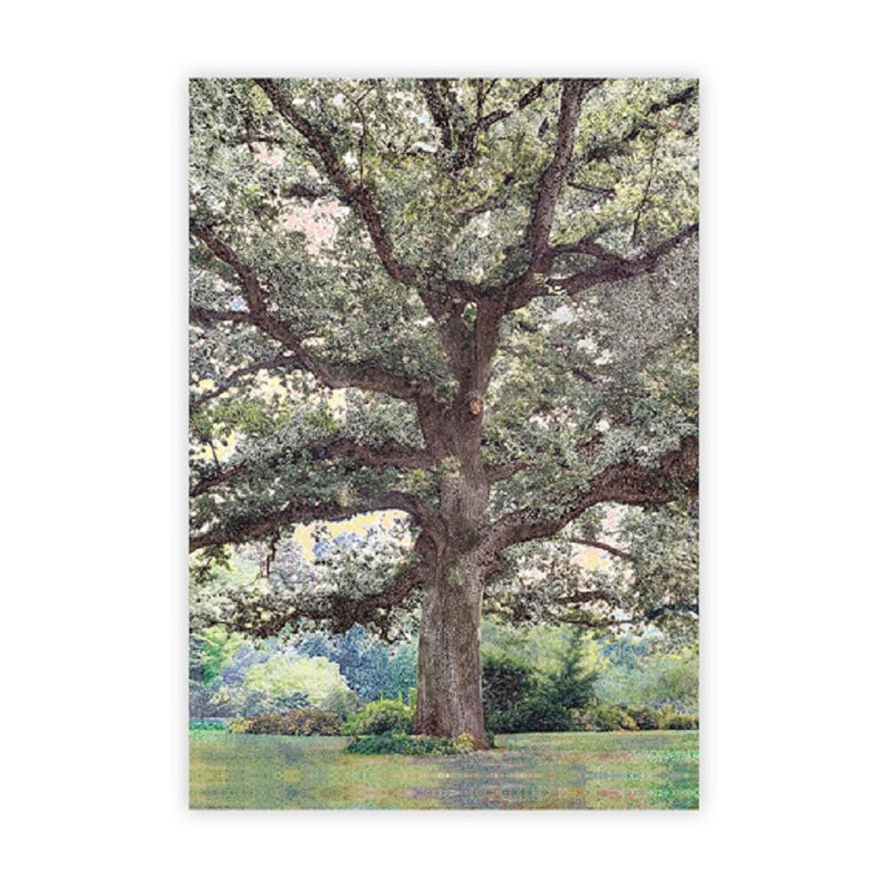 Anthony Aziz & Sammy Cucher - Anthony Aziz and Sammy Cucher American ...