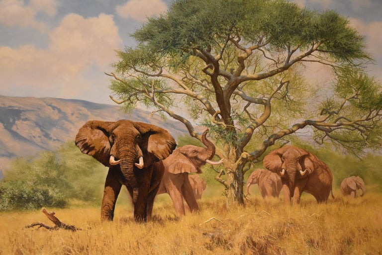 Anthony Gibbs - "Acacia Shade" by Anthony Gibbs For Sale at 1stDibs