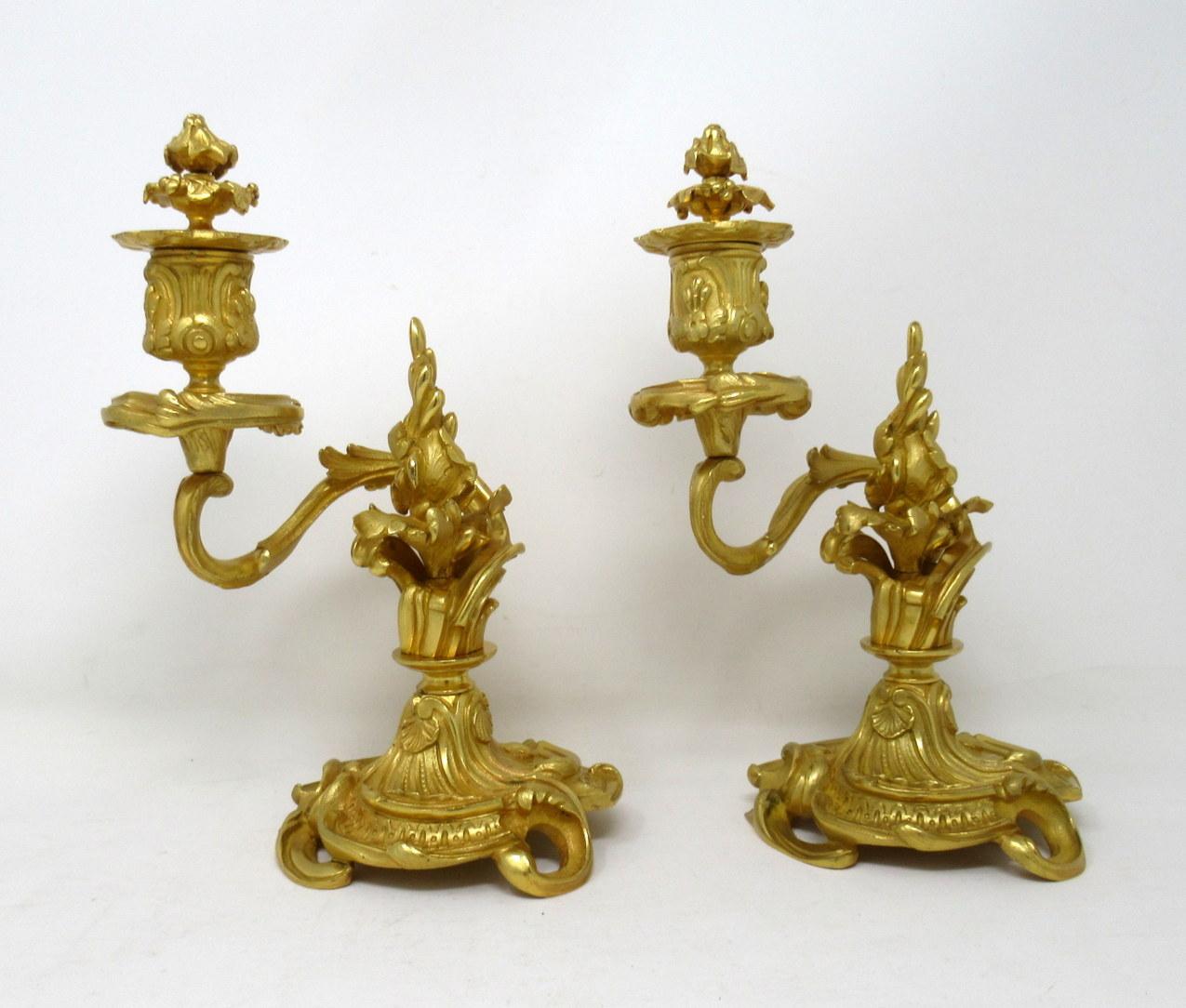 Antique Pair of Ormolu Gilt Bronze Rococo Candlesticks Juste Aurele ...