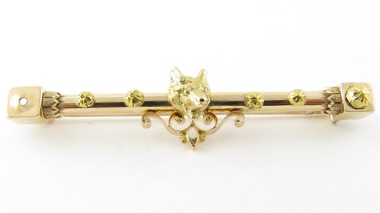 Antique 14 Karat Yellow Gold Fox Bar Pin For Sale at 1stDibs