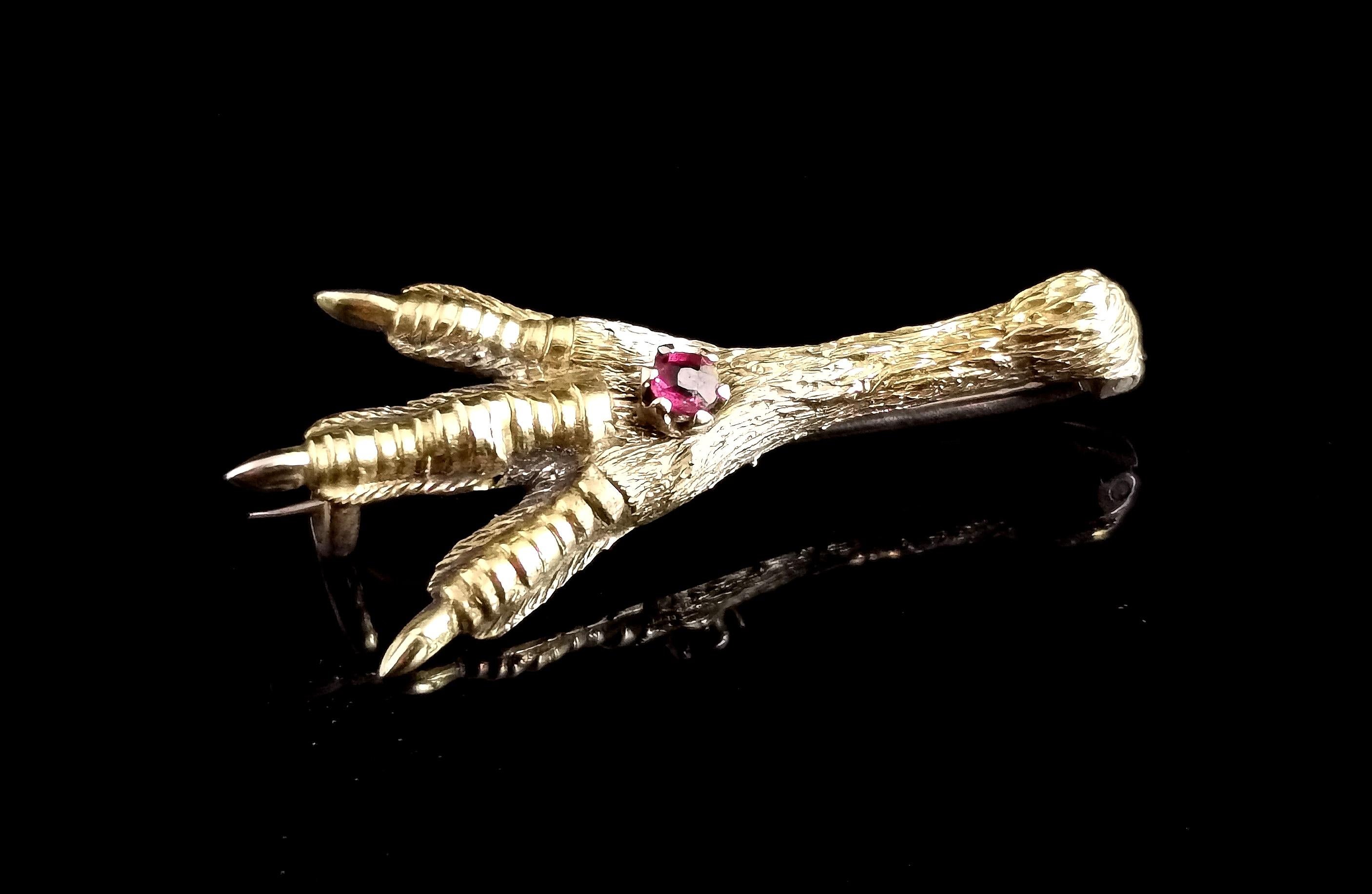 Antique 15k Gold Ruby Claw Brooch, Pin, Victorian at 1stDibs | grouse ...