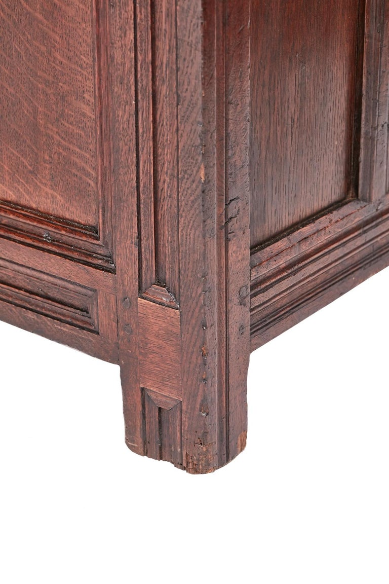 Antique 17th Century Paneled Oak Coffer For Sale at 1stDibs