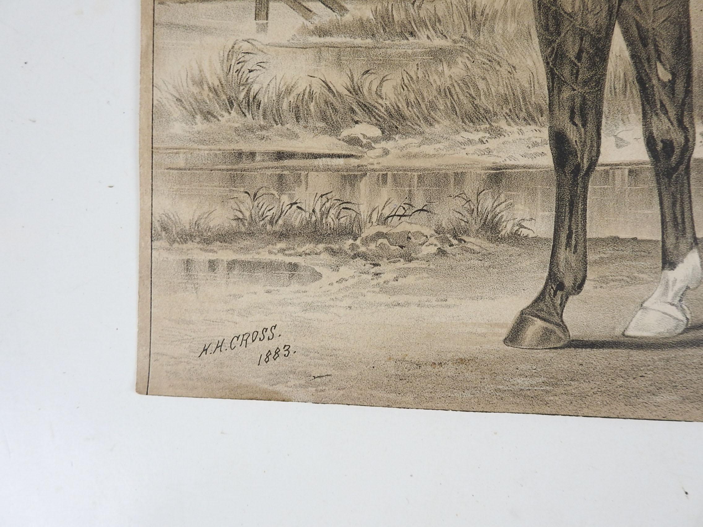 Antique 1883 Henry Cross Horse Lithograph For Sale at 1stDibs