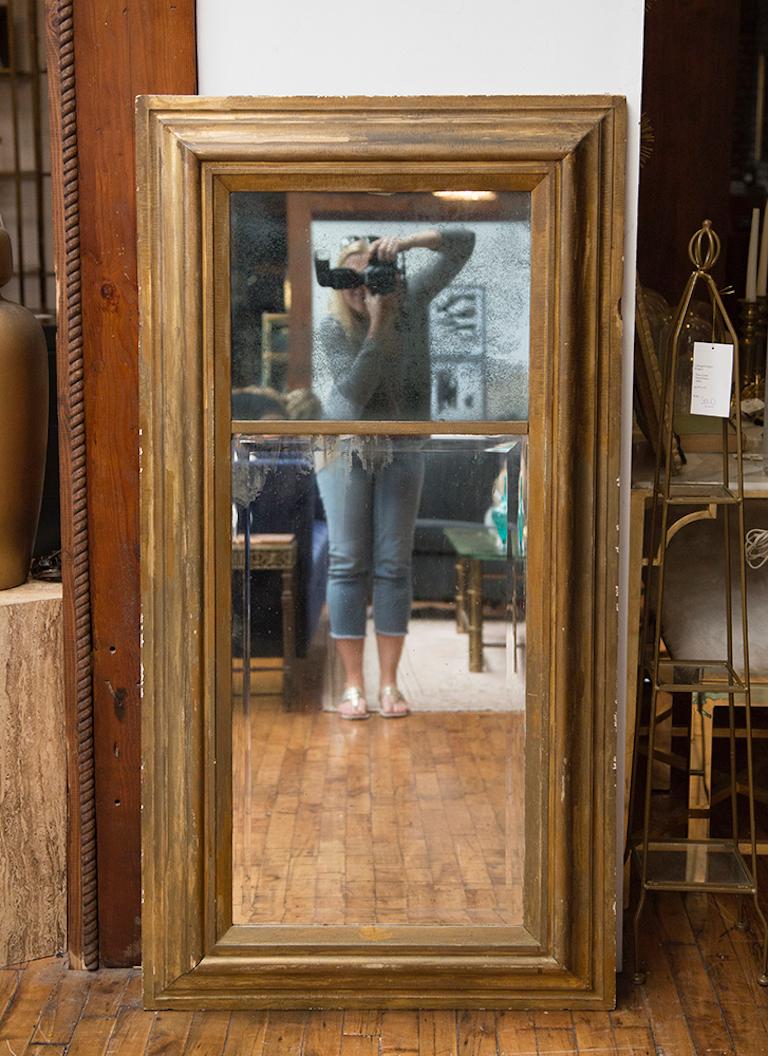 Antique 19th Century European Floor Mirror For Sale at 1stDibs