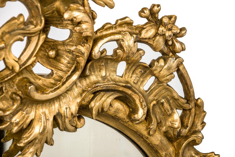 Antique 19th Century French Gold Rococo Wall Mirror with Cherubs or ...