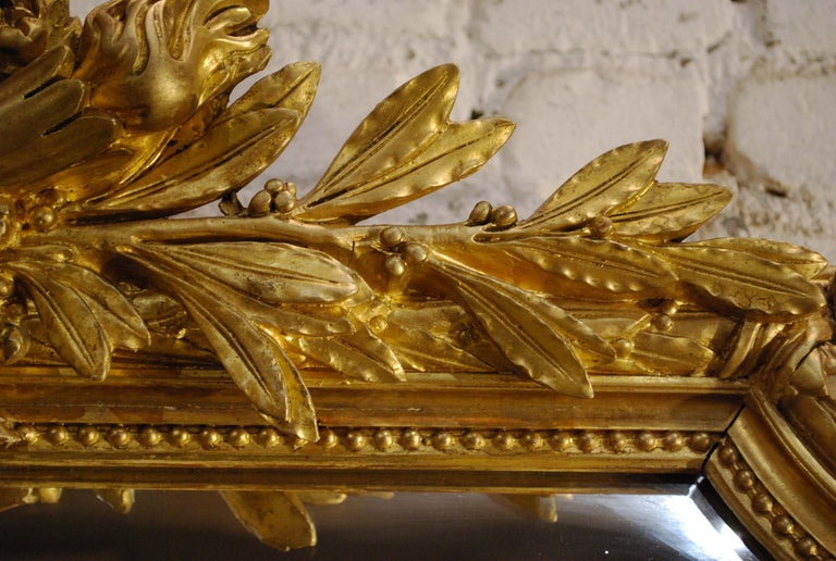 Antique 19th Century French Louis Seize Gold Gilt Mirror with Crest at ...