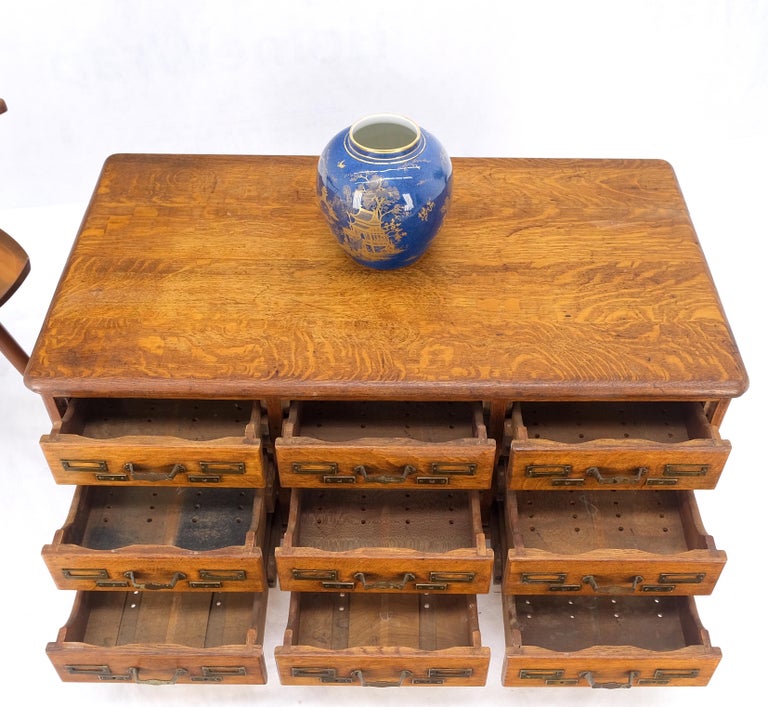 Antique 19th Century Oak Carved Lion Feet 9 Drawers File Cabinet ...